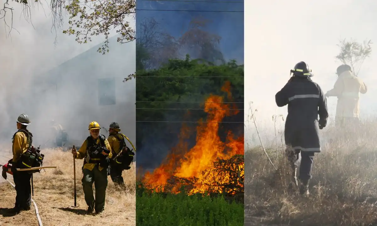 Toxic Wildfire Smoke Is Not Just Outside — It’s Inside Our Homes Too ...